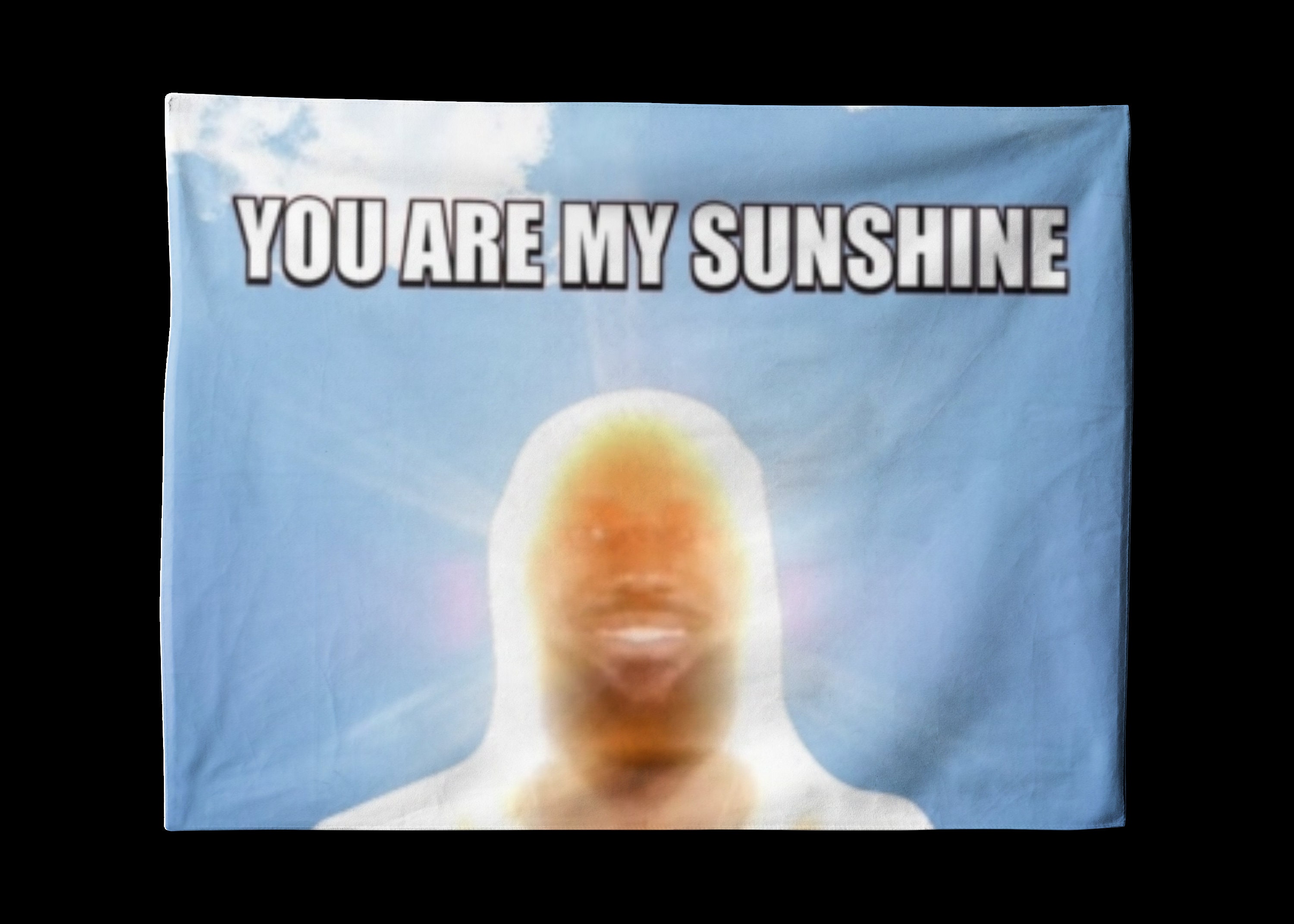 You Are My Sunshine Lebron Meme Tapestry Poster Funny Gift Room Decor ...