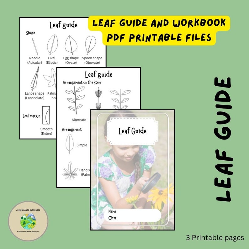 Plant Identification for Kids Workbook and Guide Environment Botany ...