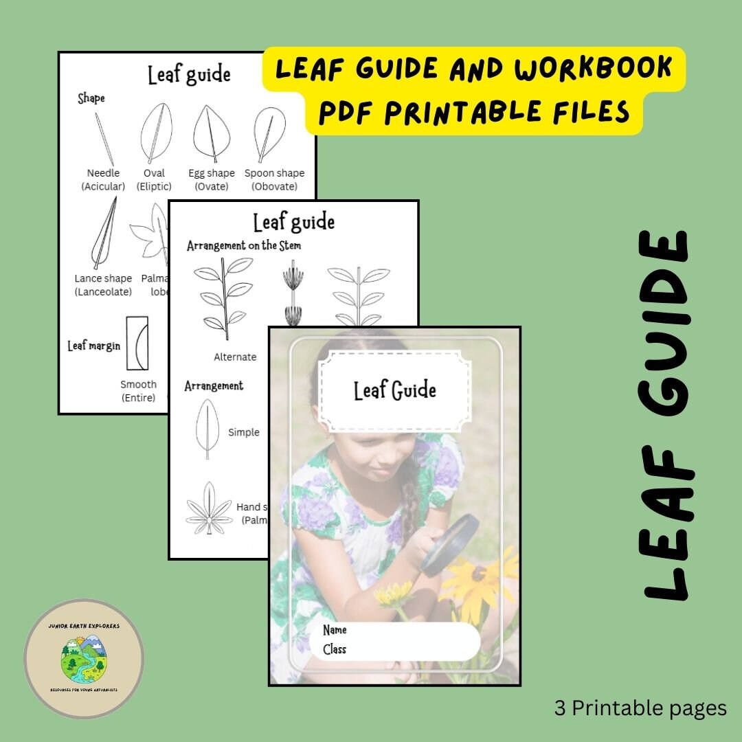 Plant Identification for Kids Workbook and Guide Environment Botany ...