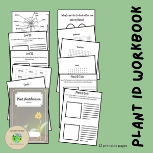 Plant Identification for Kids Workbook and Guide Environment Botany ...