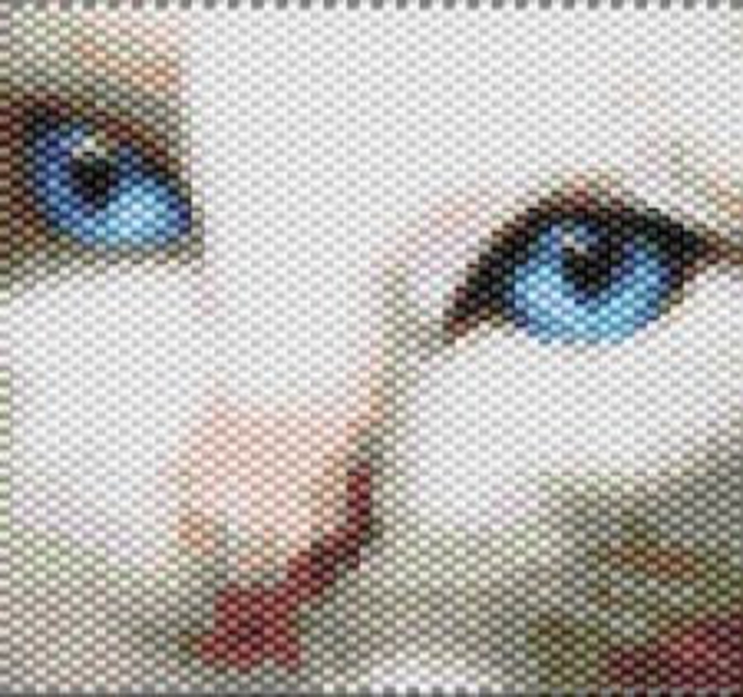 Blue Cat Eyes, Beaded Tapestry Pattern - Etsy