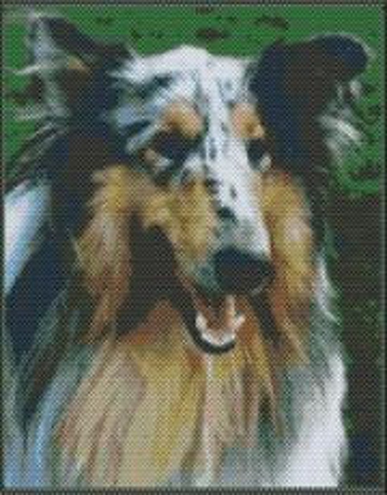 Collie, Blue Merle, Beaded Tapestry Pattern - Etsy