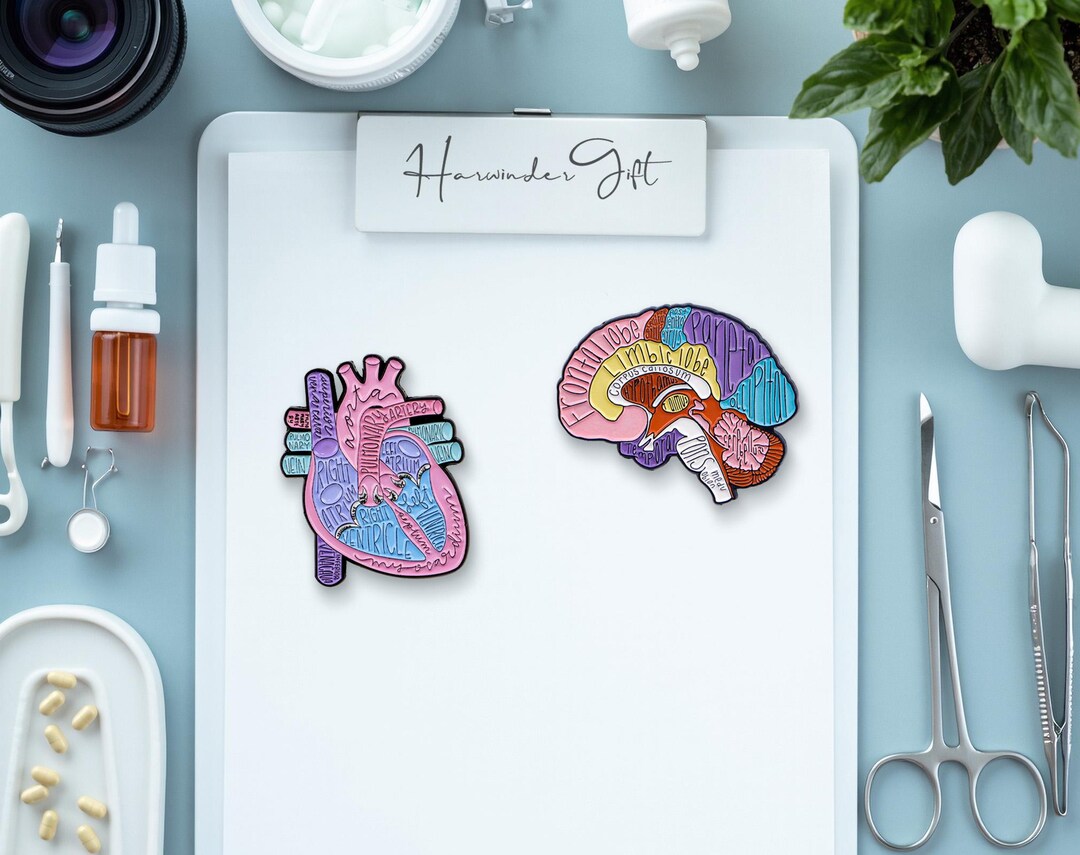 Anatomical Heart Brain Enamel Pin, Brain Heart Pin, Nurse Doctor Lapel ...