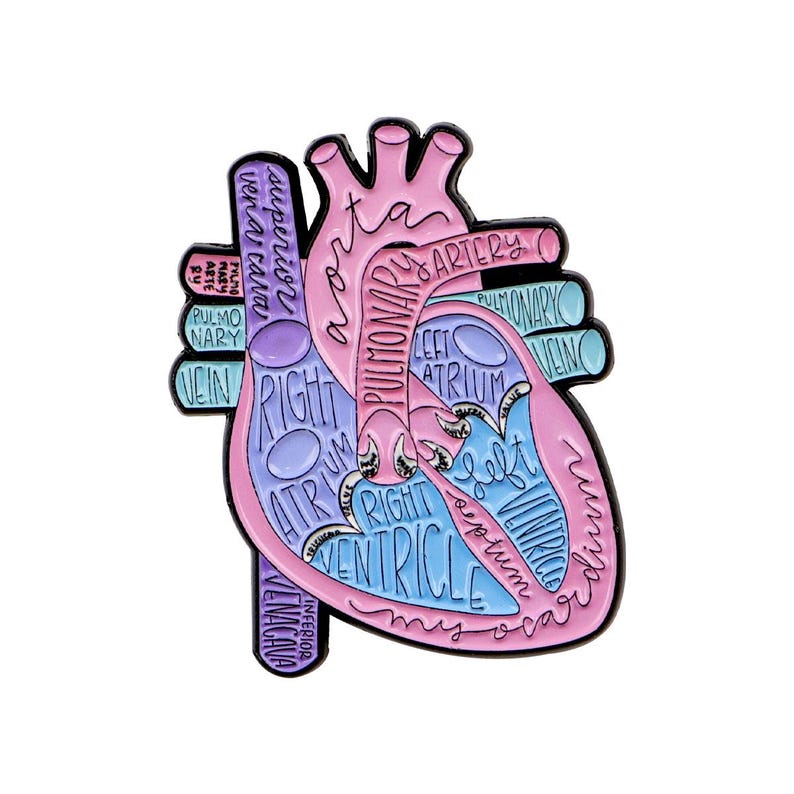 Anatomical Heart Brain Enamel Pin, Brain Heart Pin, Nurse Doctor Lapel ...