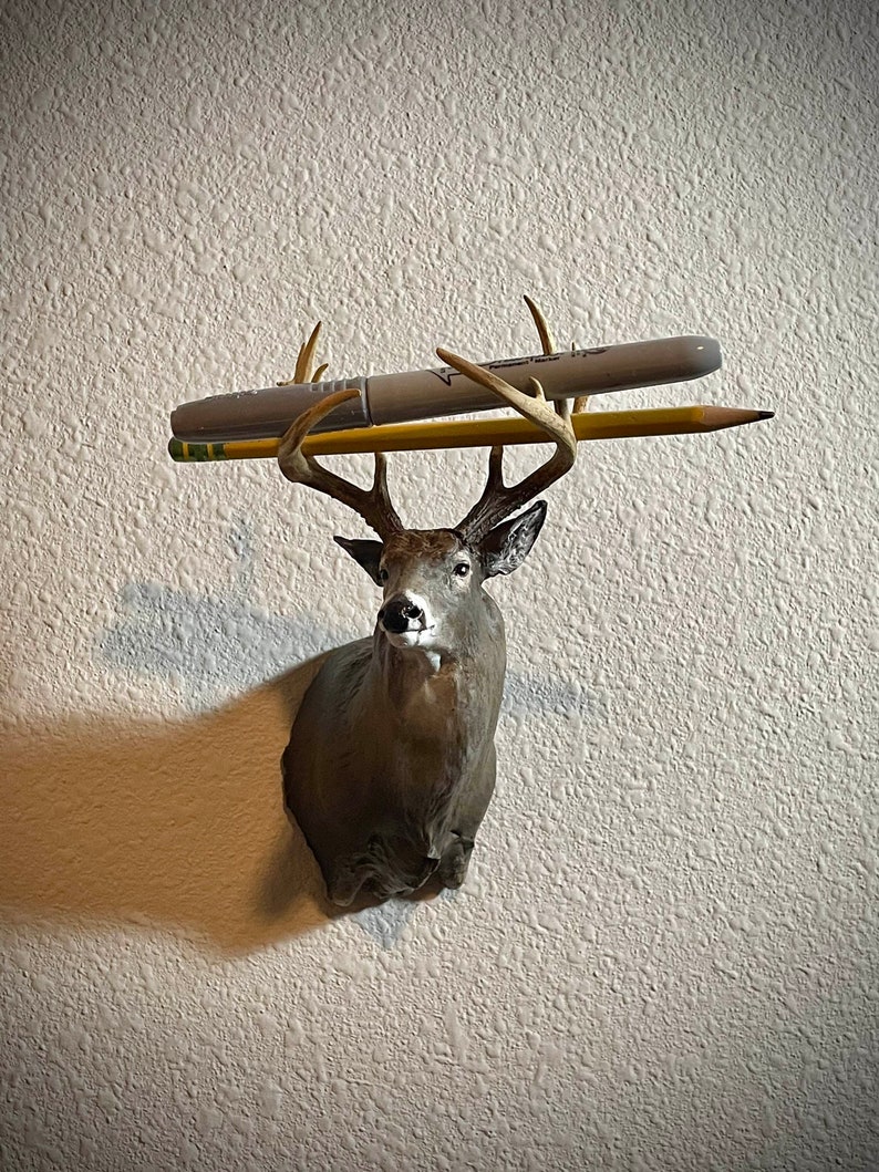 Mini Whitetail Buck Shoulder Mount #1 - Etsy