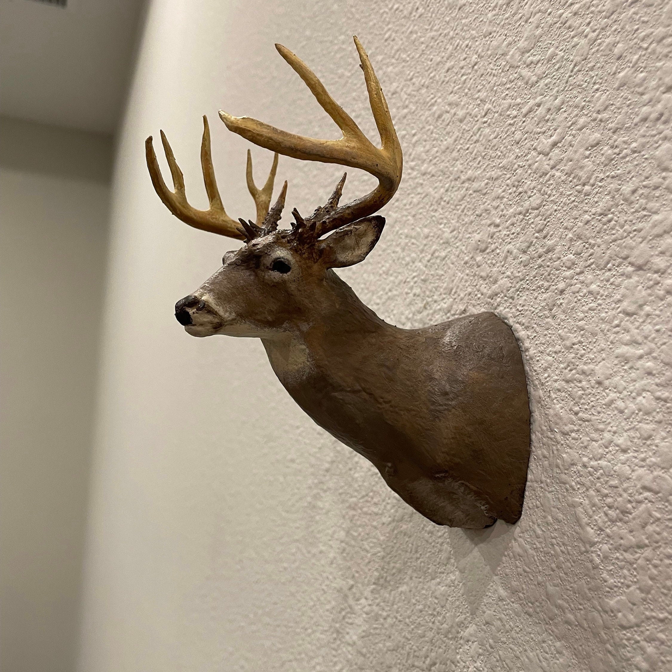 Miniature, Highly Detailed BEAST Whitetail Buck Shoulder Mount - Etsy