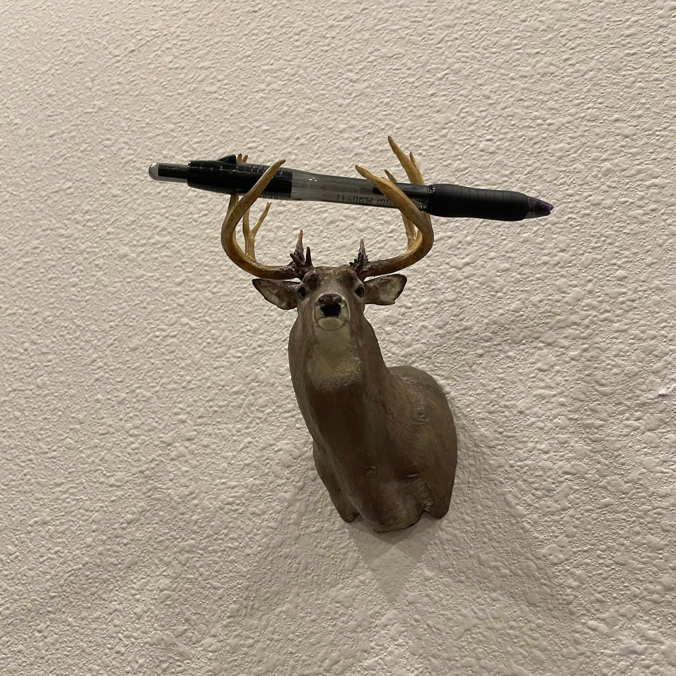 Miniature, Highly Detailed BEAST Whitetail Buck Shoulder Mount - Etsy