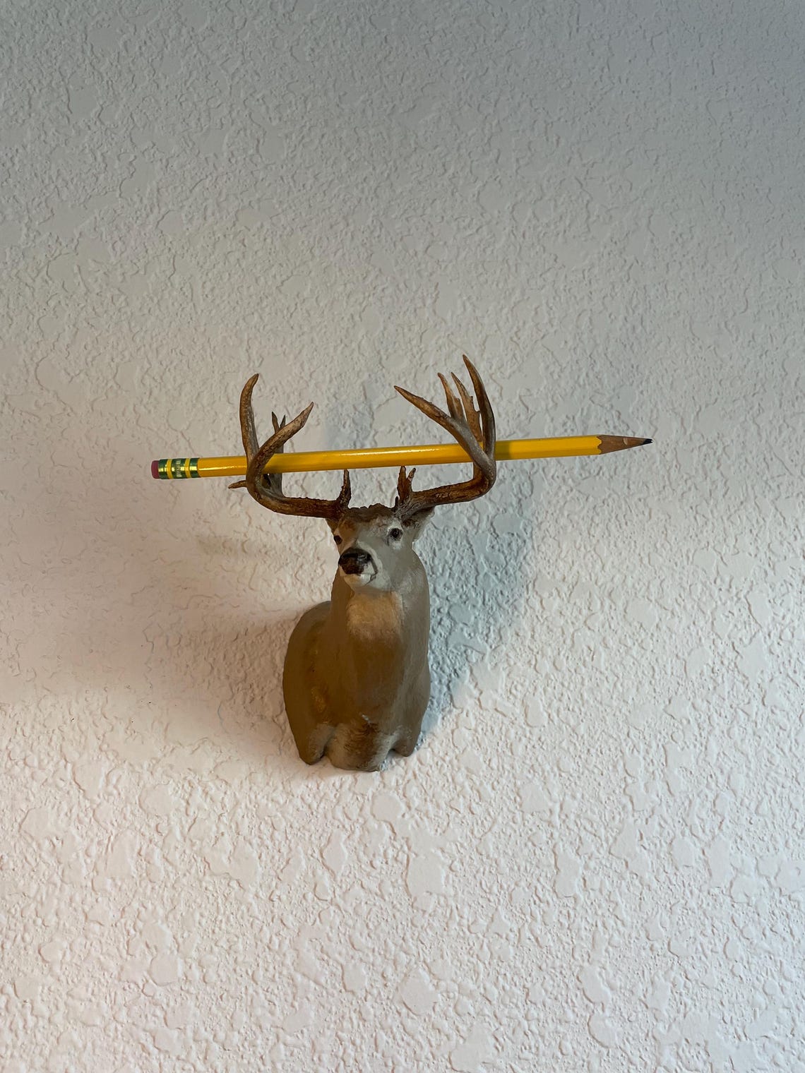 Miniature GIANT 14 Point Whitetail Buck Shoulder Mount - Etsy