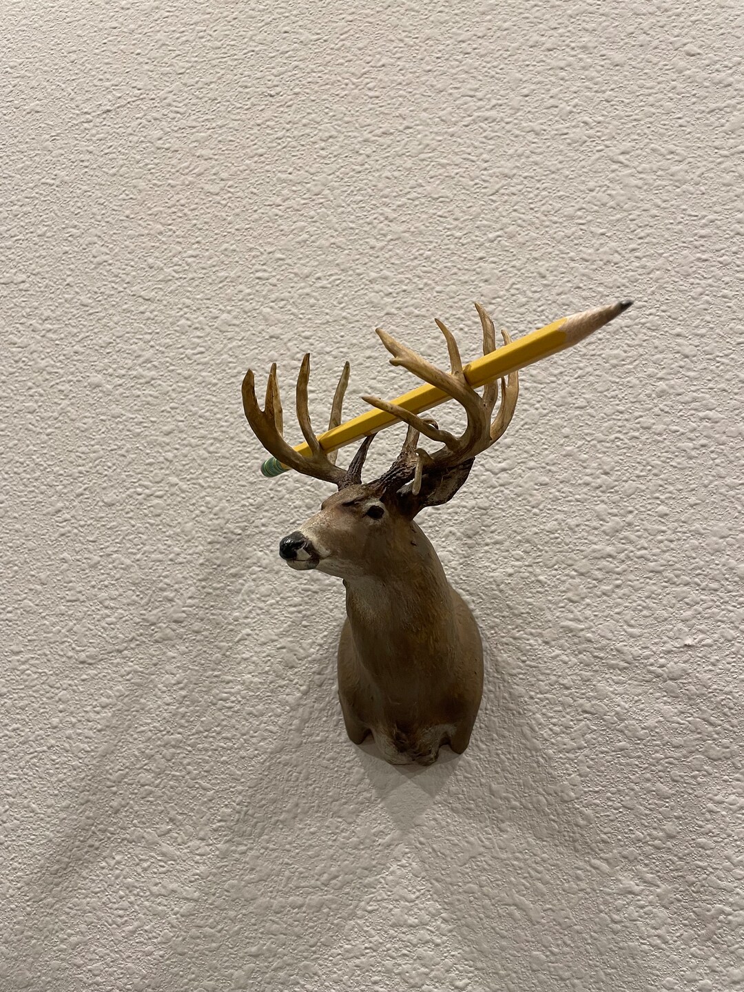 Miniature, Monarch Whitetail Buck Shoulder Mount - Etsy