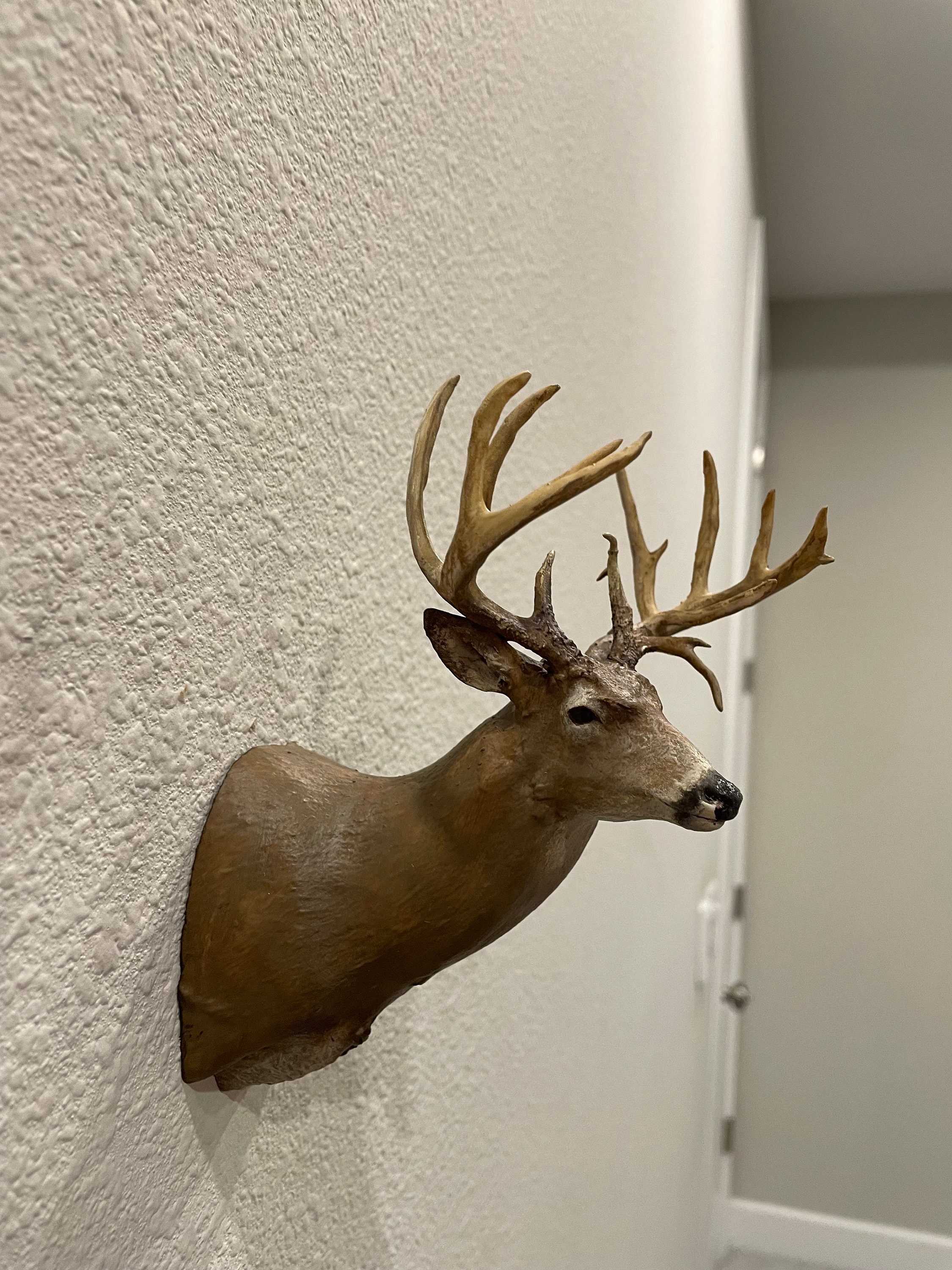 Miniature, Monarch Whitetail Buck Shoulder Mount - Etsy