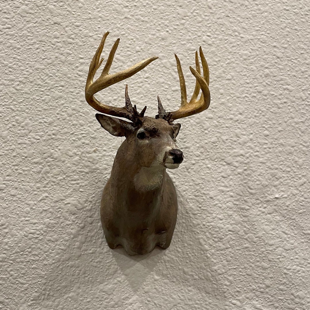 Miniature, Highly Detailed BEAST Whitetail Buck Shoulder Mount - Etsy
