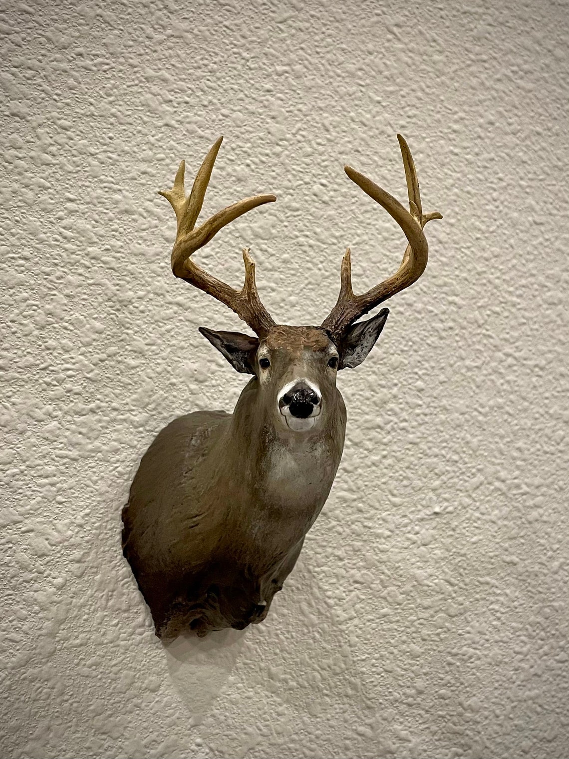Mini Whitetail Buck Shoulder Mount #1 - Etsy