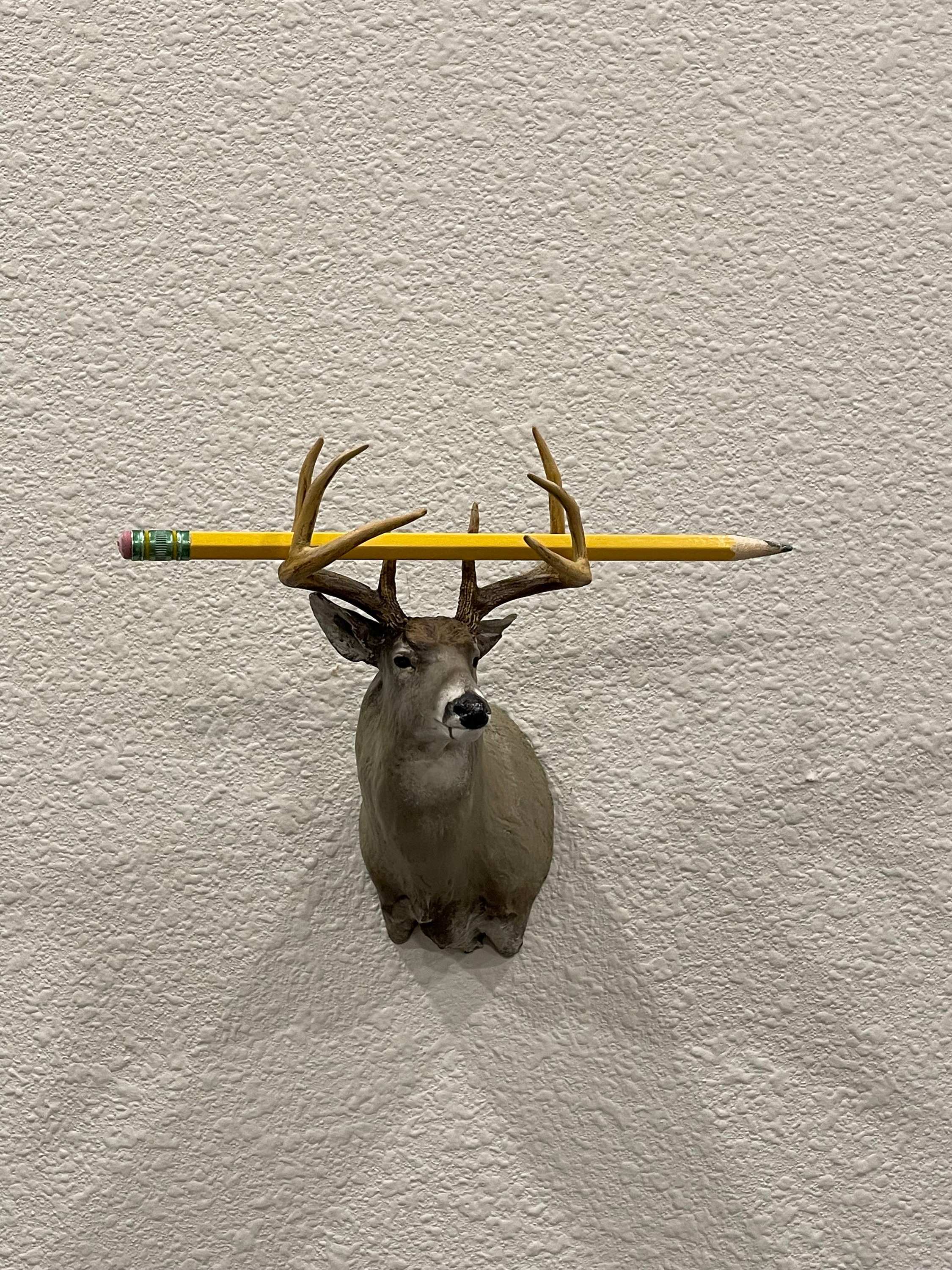 Miniature Stud 8 Point Whitetail Buck Shoulder Mount - Etsy