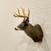 Mini Whitetail Buck Shoulder Mount #1 - Etsy