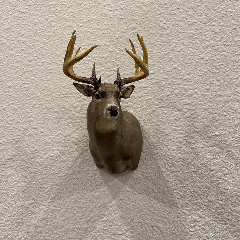 Miniature, Highly Detailed BEAST Whitetail Buck Shoulder Mount - Etsy