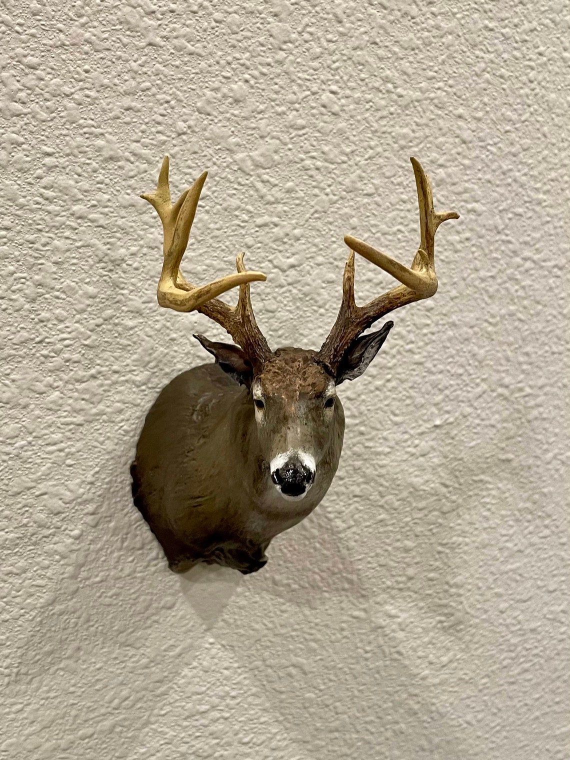 Mini Whitetail Buck Shoulder Mount #1 - Etsy