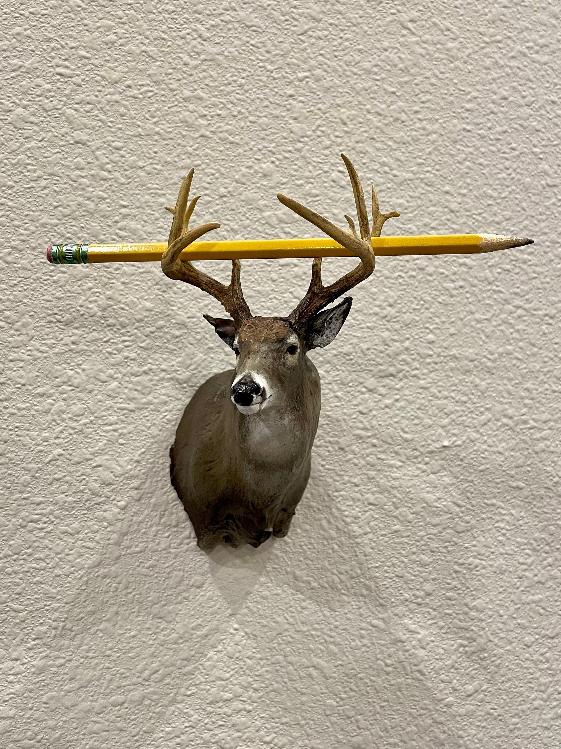 Mini Whitetail Buck Shoulder Mount #1 - Etsy