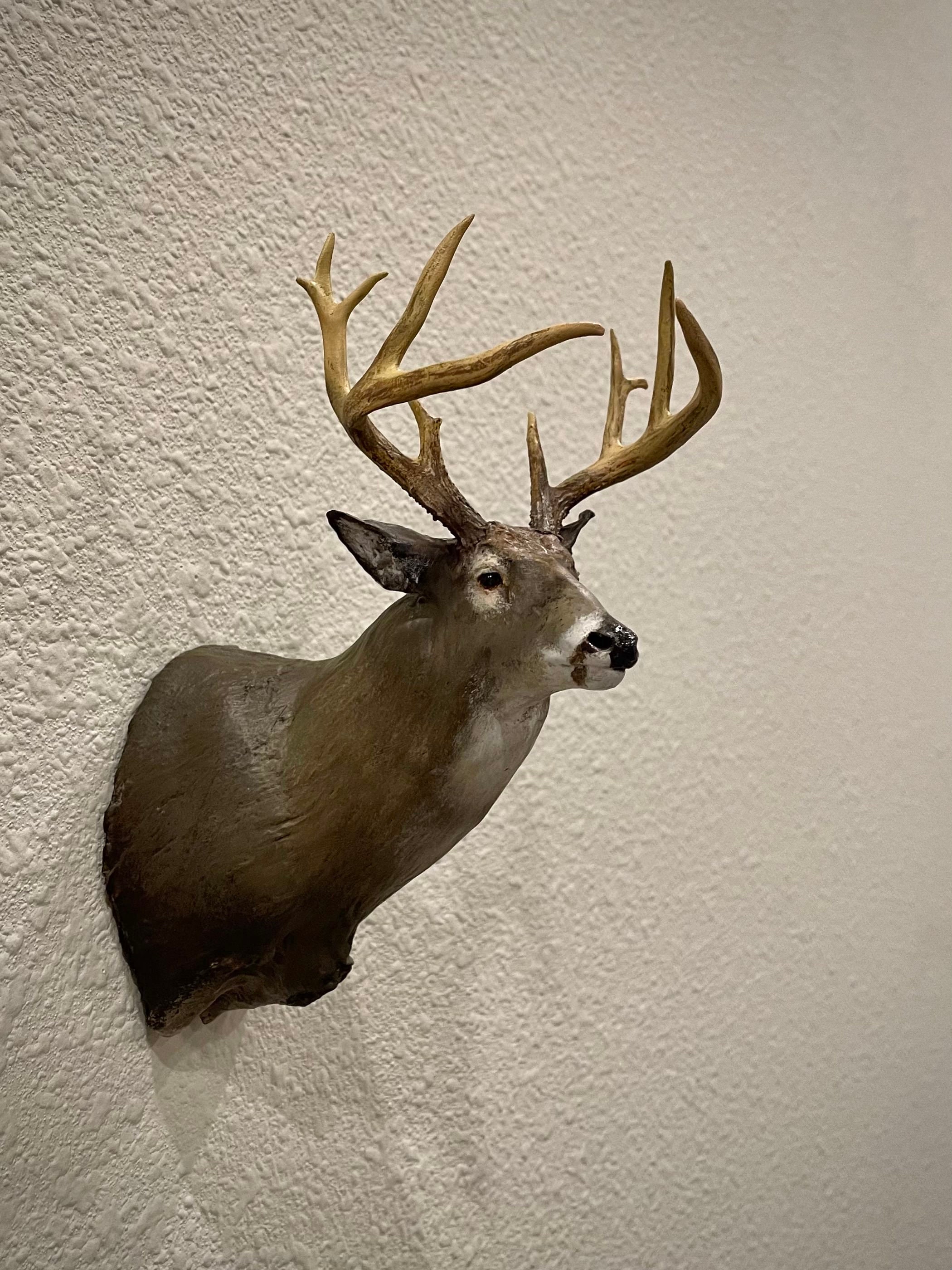 Mini Whitetail Buck Shoulder Mount #1 - Etsy