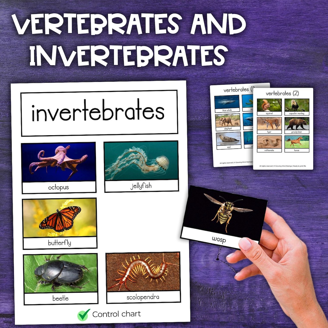 Vertebrates & Invertebrates Sorting Activity | Cards and Control Chart ...