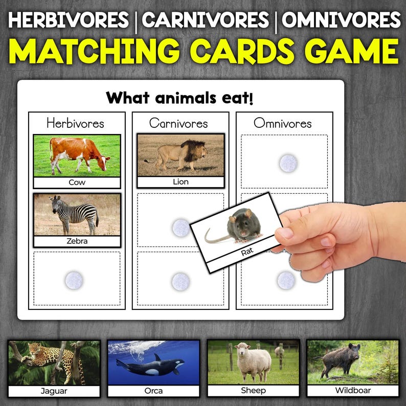 Herbivore, Carnivore, Omnivore Matching Activity Sorting Cards ...