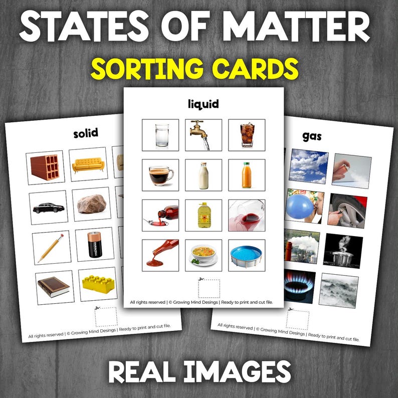 States of Matter Sorting Activity | Solid Liquid Gas REAL PICTURES ...