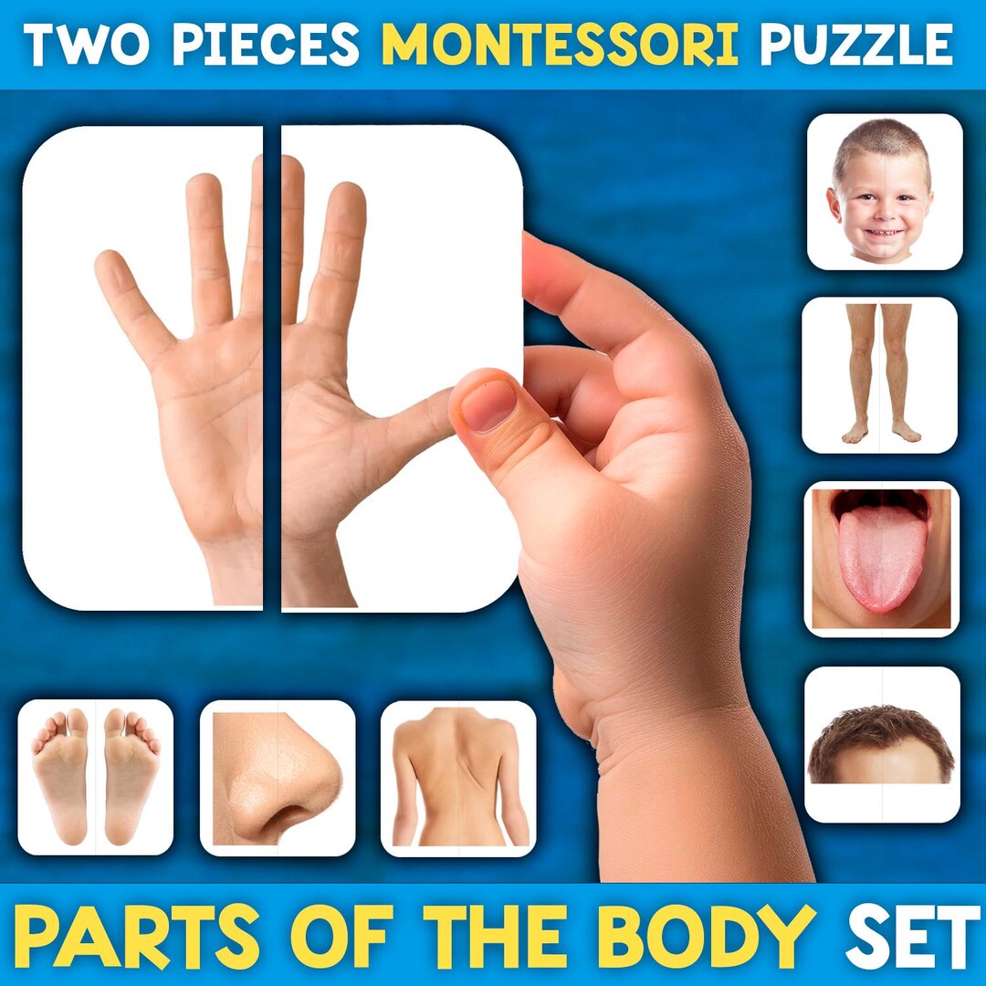 Body Parts Matching Activity | Montessori Body Parts 2-pieces Puzzle ...