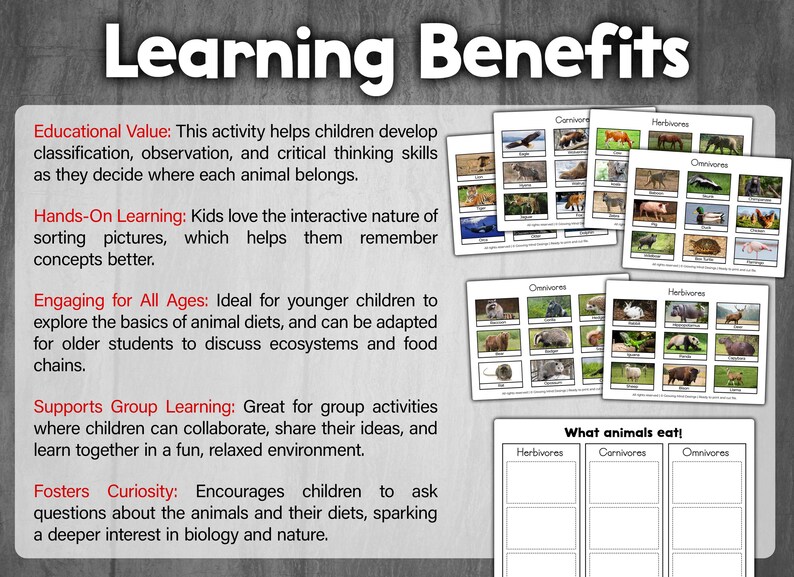 Herbivore, Carnivore, Omnivore Matching Activity Sorting Cards ...