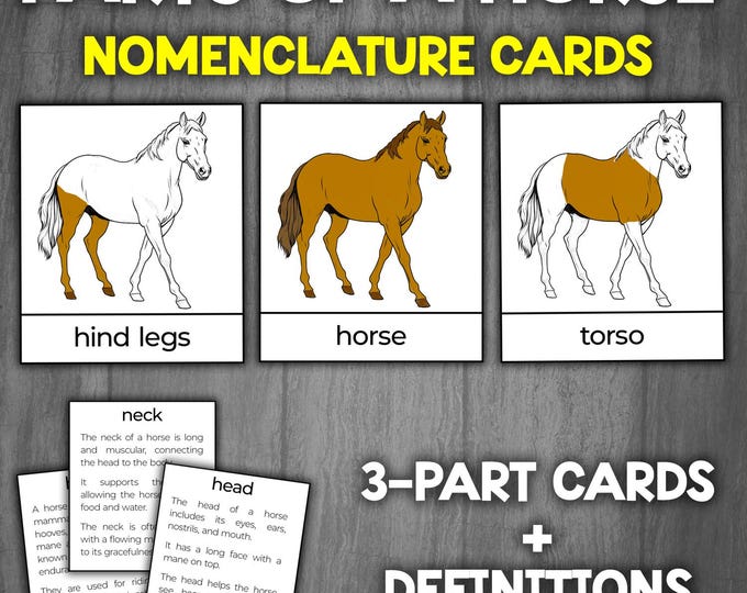 Parts of a Horse Nomenclature 3-part Cards - Montessori Zoology ...