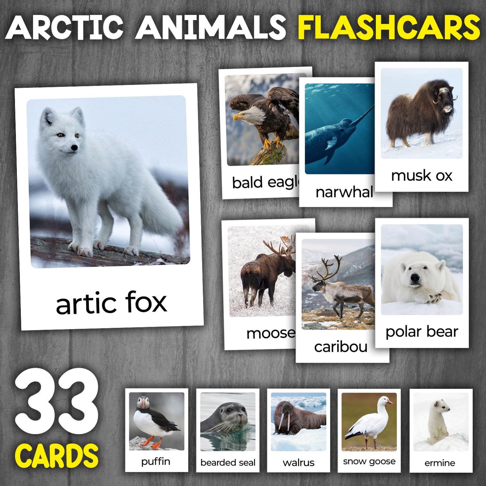 Arctic Animals Flashcards | Montessori 3-part Cards | Real Pictures ...