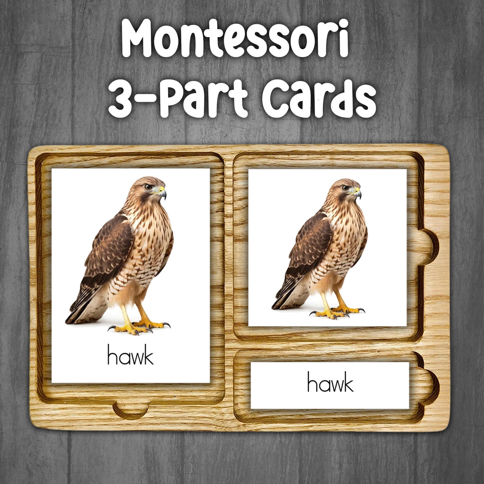 Birds Flashcards | Types of Birds 3-PART Cards | REAL PICTURES | All ...