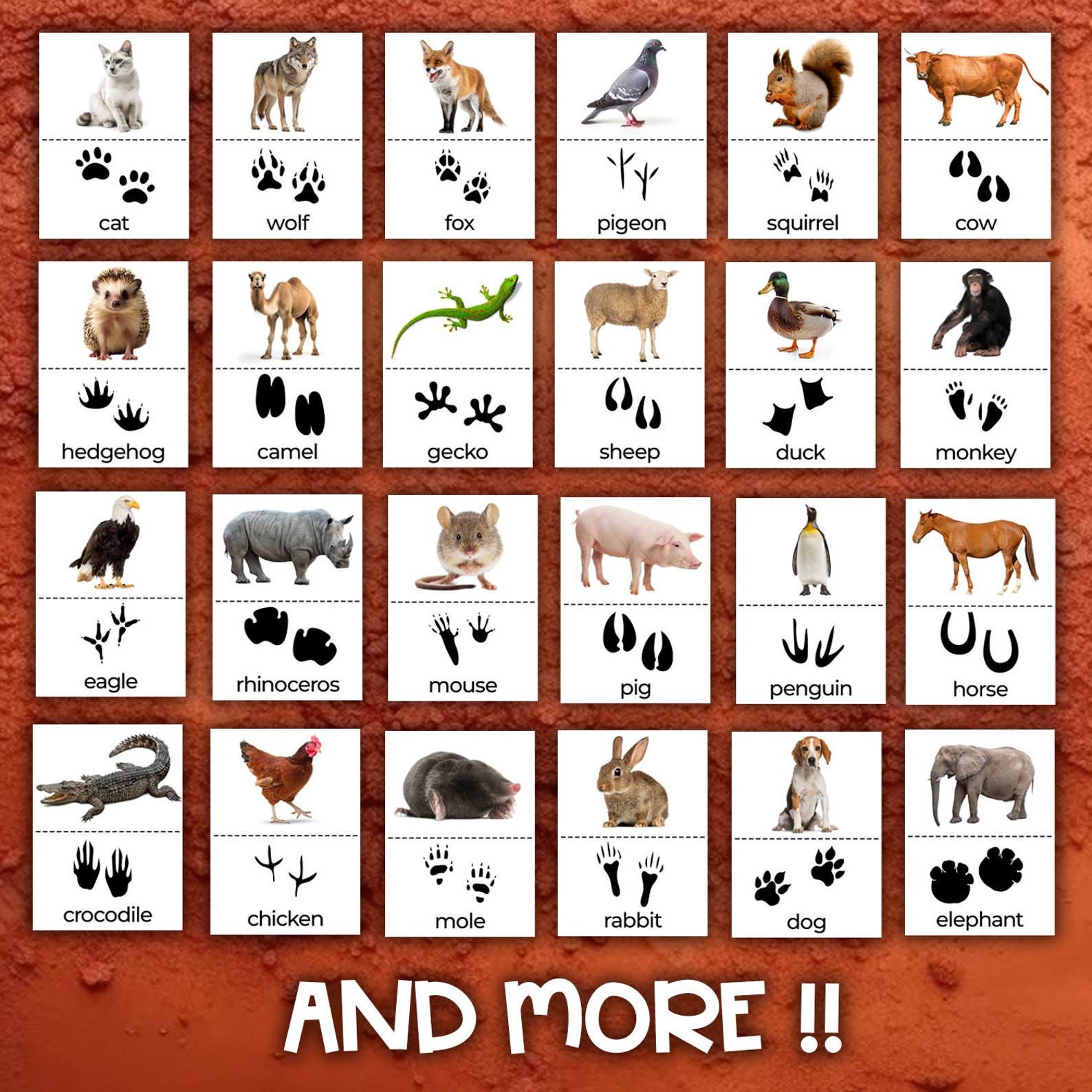 Animal Tracks Matching Cards | Animal Footprints Matching Cards ...