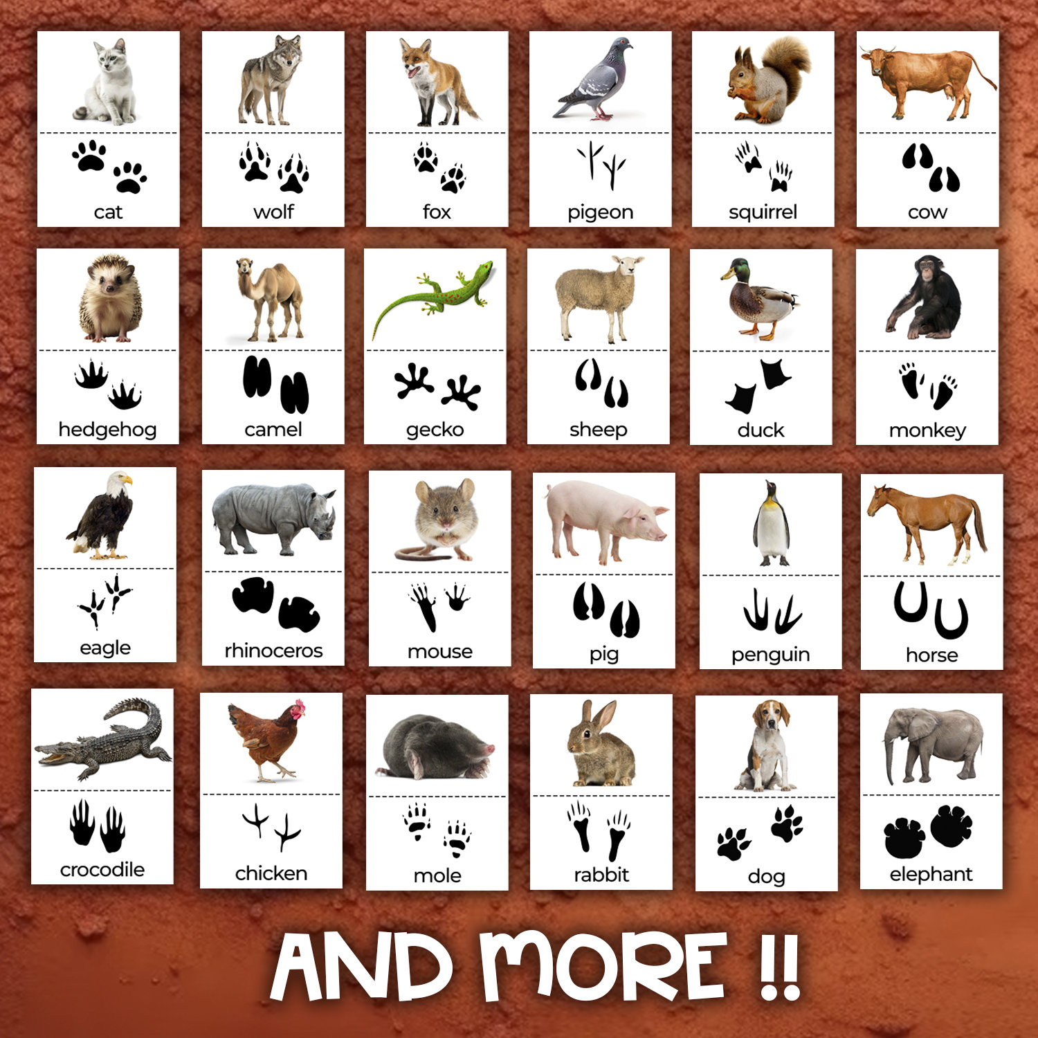 Animal Tracks Matching Cards | Animal Footprints Matching Cards ...