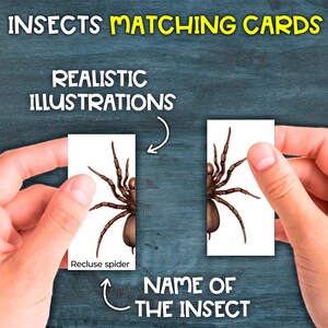 Bugs and Insects Matching Cards | Symmetry Montessori Activity ...