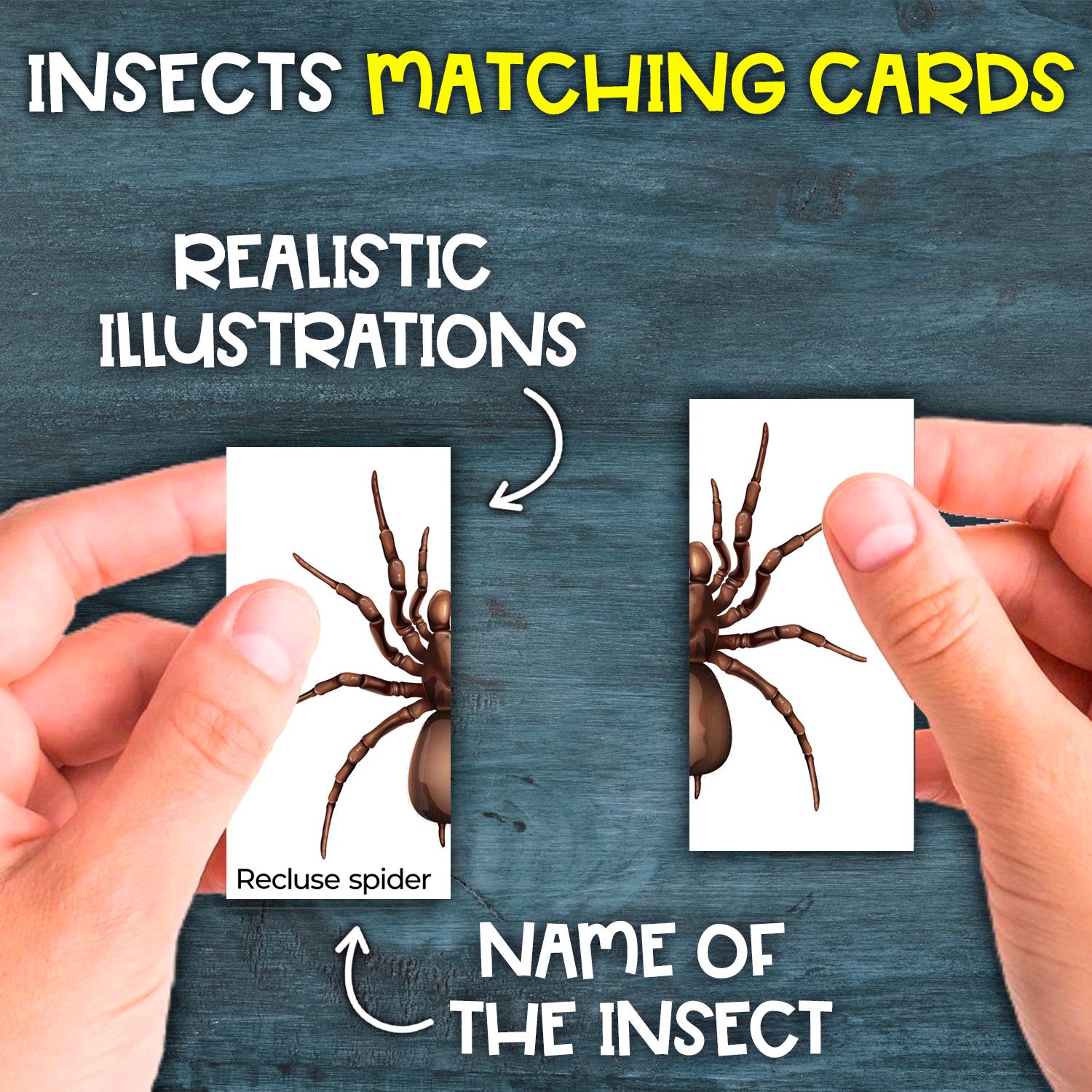 Bugs and Insects Matching Cards | Symmetry Montessori Activity ...