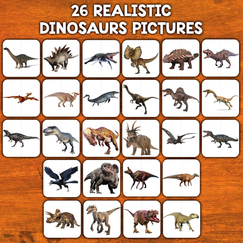 Dinosaurs Matching Activity | Dinosaur Montessori Puzzle Game ...