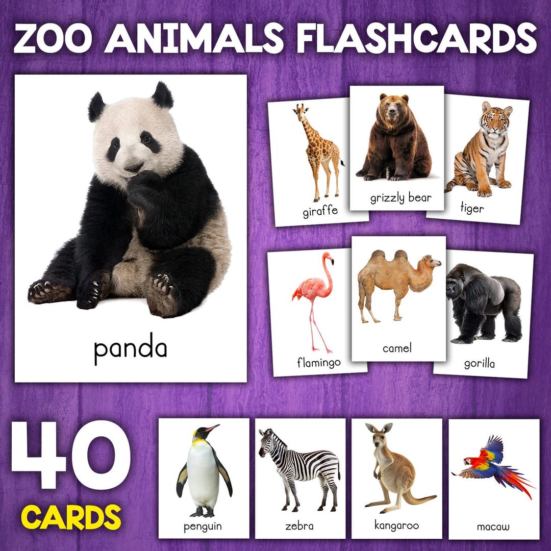 Zoo Animals Vocabulary Flashcards | Real Picture Cards | Zoo Animals ...