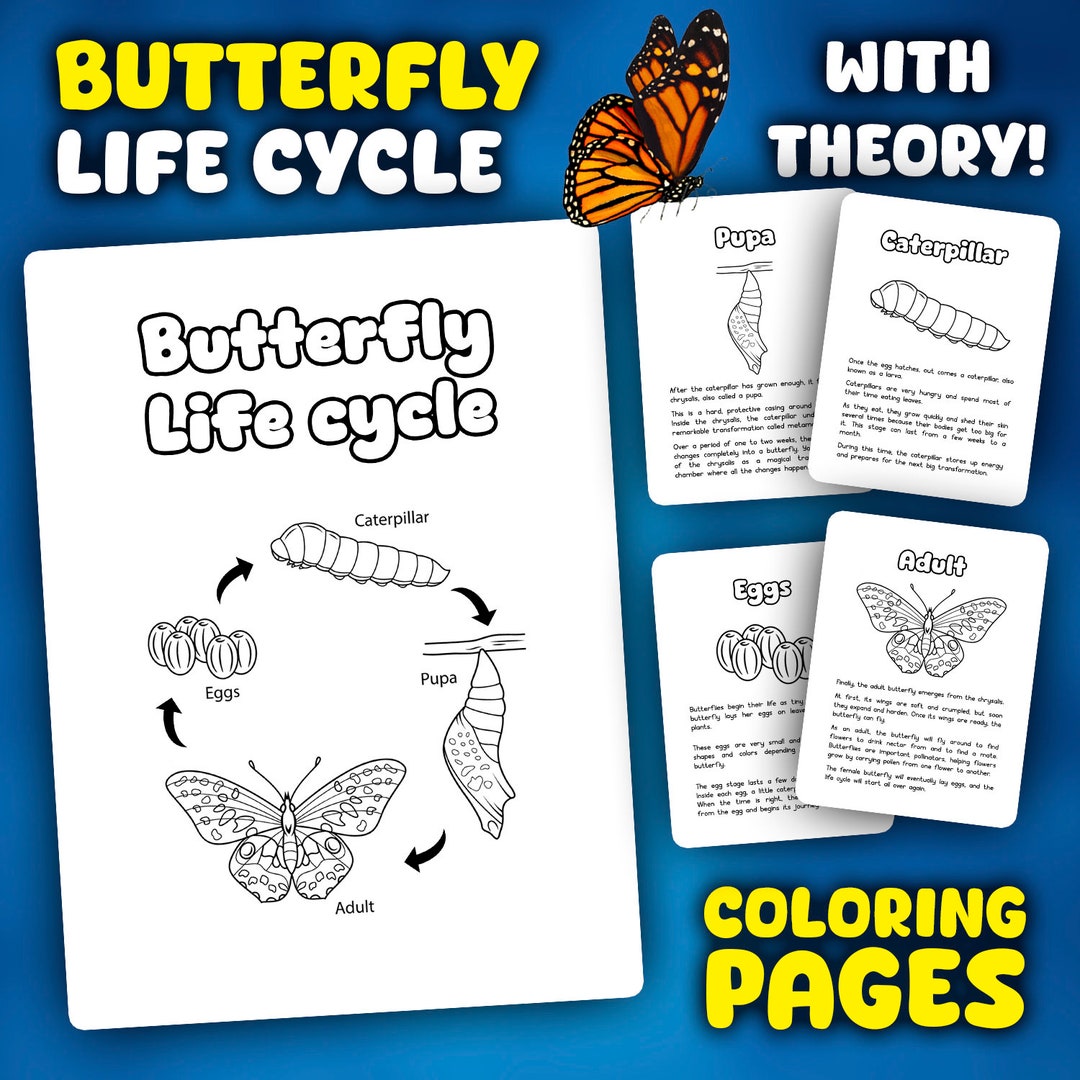 Butterfly Life Cycle Coloring Pages | Life Cycle of Butterfly Coloring ...