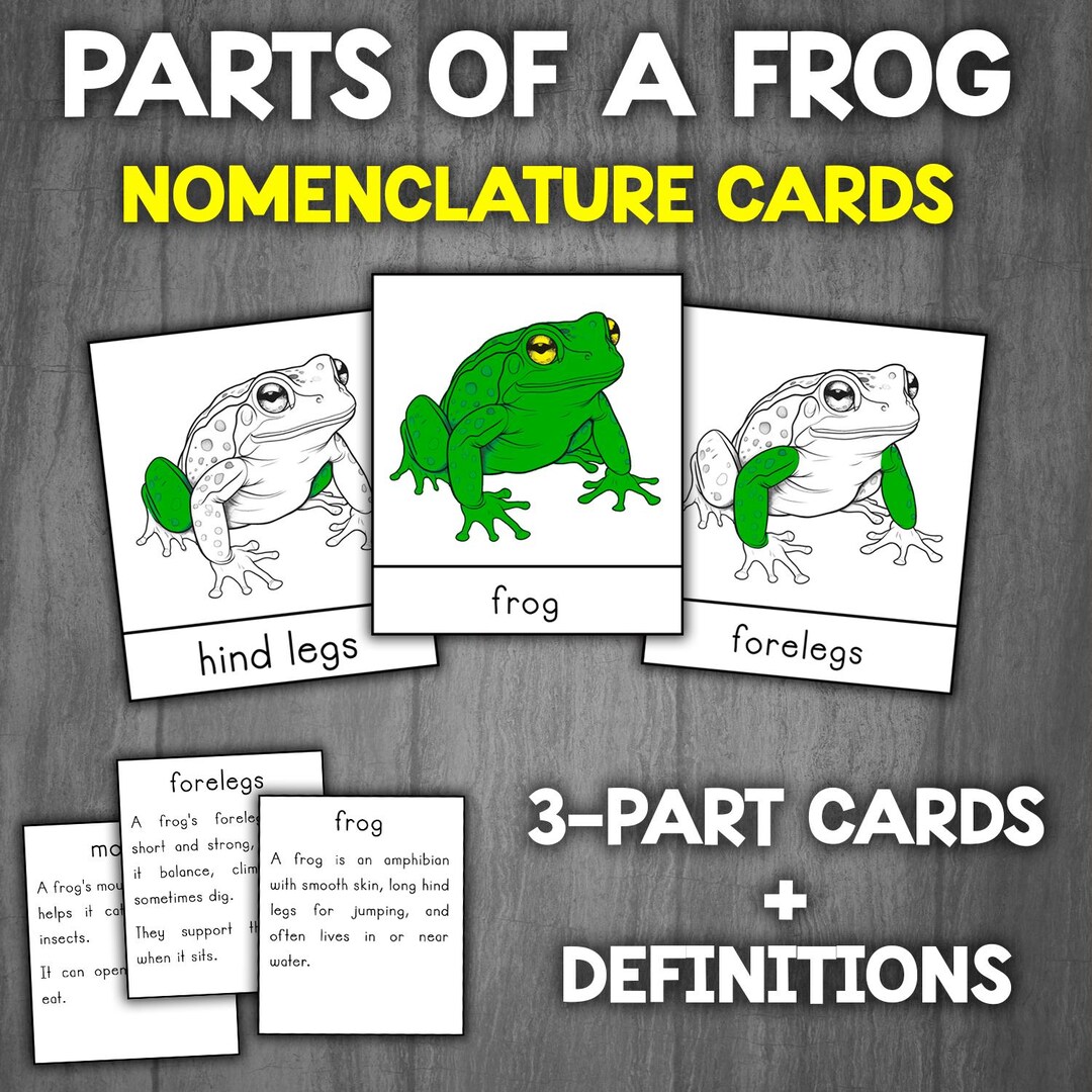 Parts of a Frog 3-part Cards | Montessori Nomenclature Cards | Frog ...