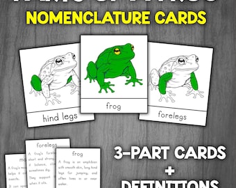 Parts of Frog Montessori 3-part-cards - Etsy