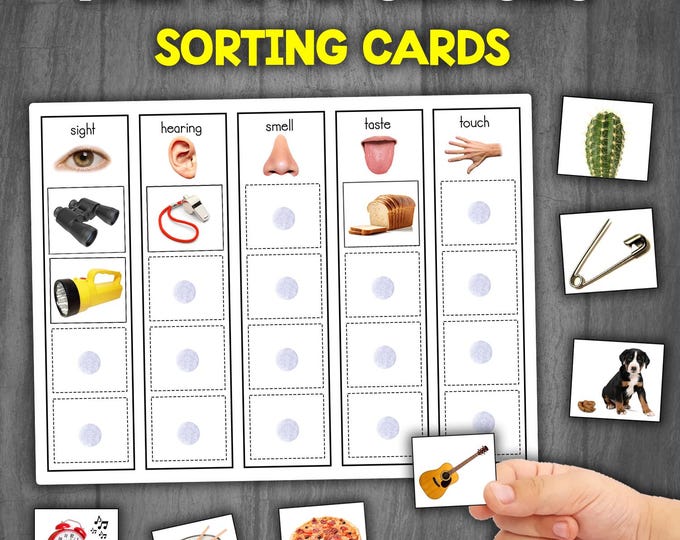 Preschool 5 Senses Match and Clip Cards/ Toddler Five Senses Activity ...