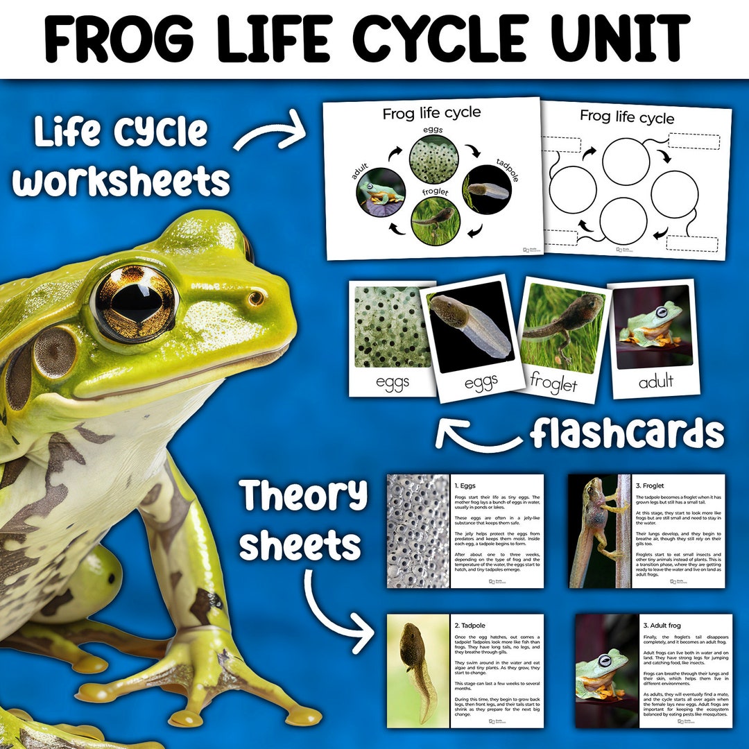 Frog Life Cycle Unit | Montessori Frog Life Cycle | Posters ...