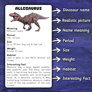 Dinosaurs Fact Cards | Dinosaurs Flashcards | Dinosaurs Activity ...