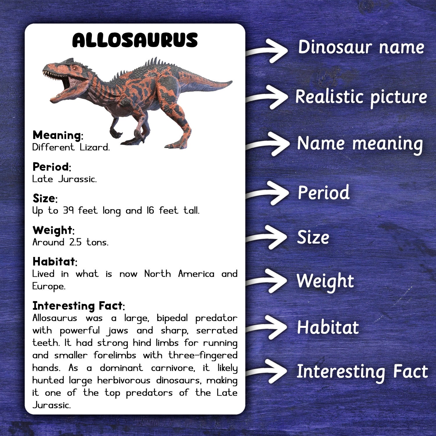 Dinosaurs Fact Cards Dinosaurs Flashcards Dinosaurs Activity Montessori ...