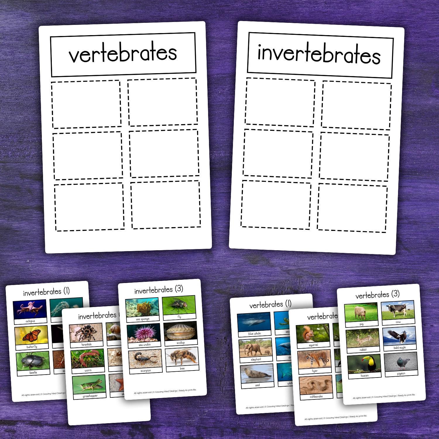 Vertebrates & Invertebrates Sorting Activity | Cards and Control Chart ...