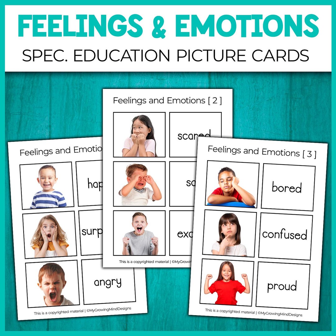 Identifying Feelings & Emotions Activity | Word Picture Match | Special ...