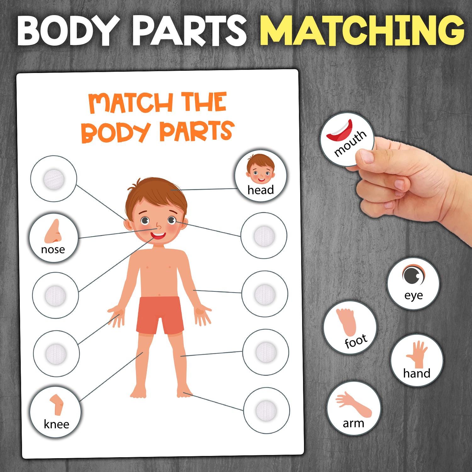 Body Parts Matching Activity | Parts of the Body for Preschool and ...