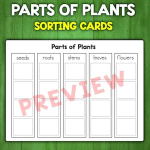 Parts of Plants Sorting Matching Activity | Parts of a Plant Montessori ...