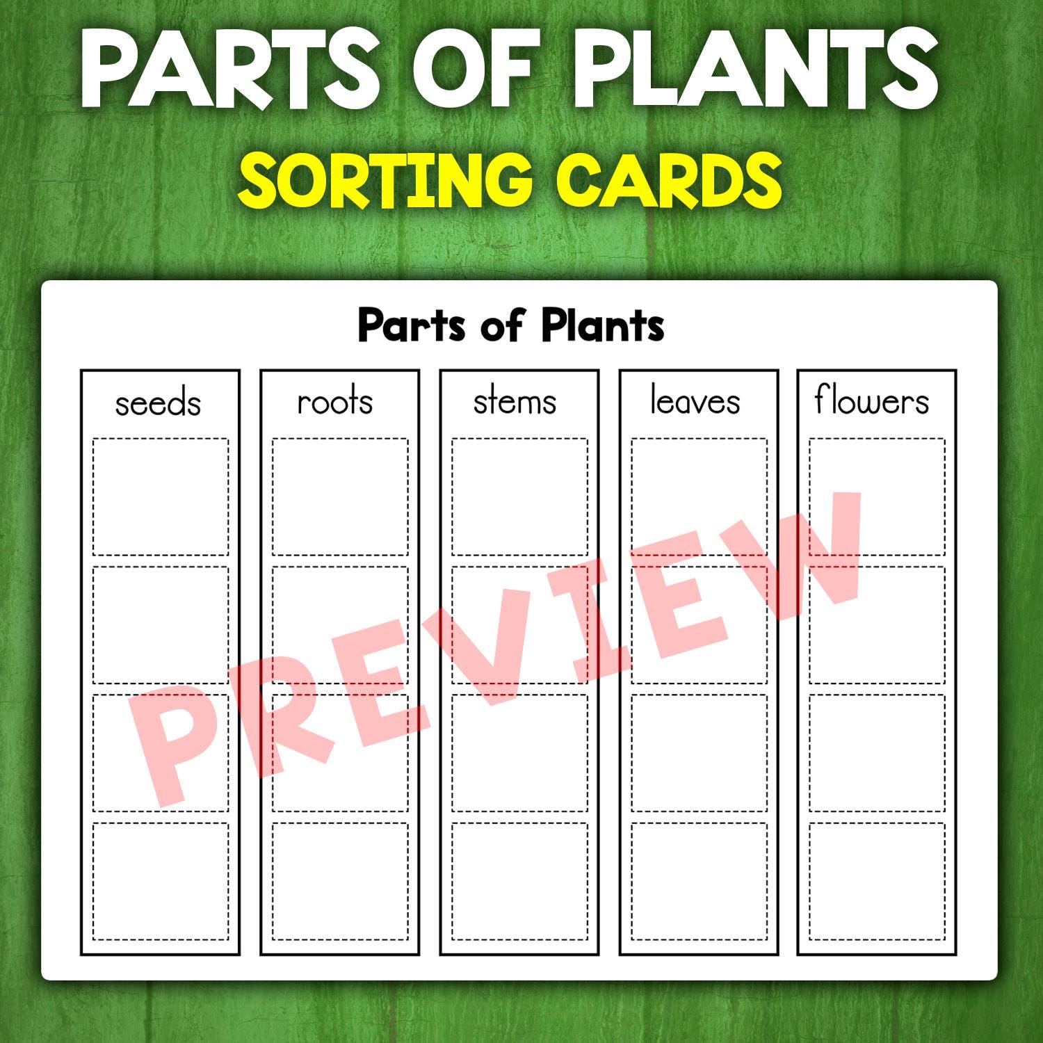 Parts of Plants Sorting Matching Activity Parts of a Plant Montessori ...