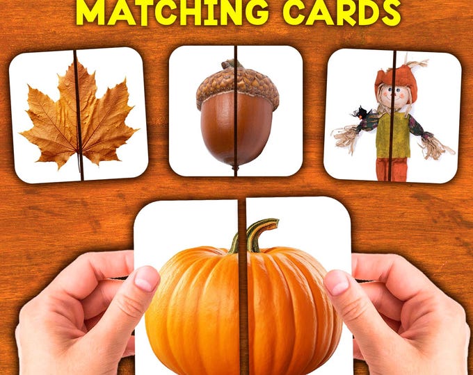 Autumn Flashcard Set: Printable Learning Cards for Fall Activities ...