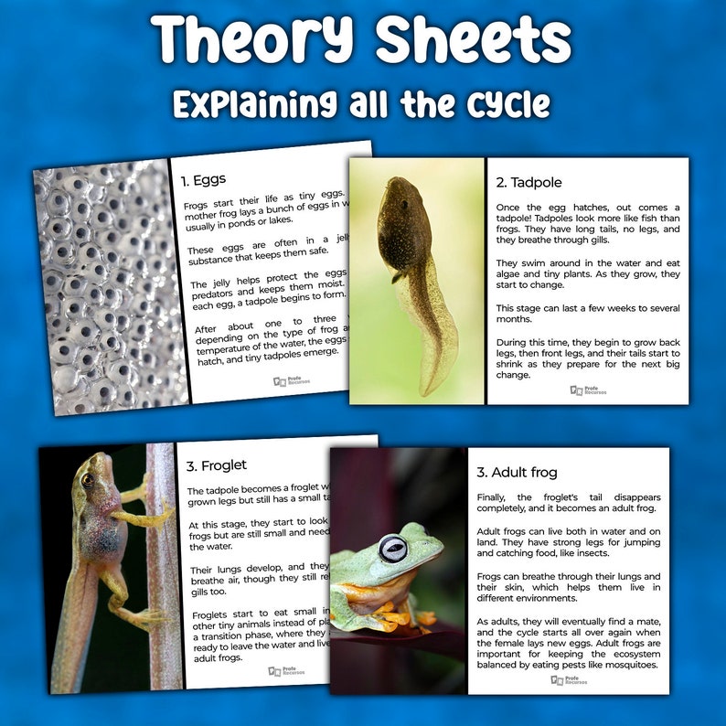 Frog Life Cycle Unit | Montessori Frog Life Cycle | Posters ...